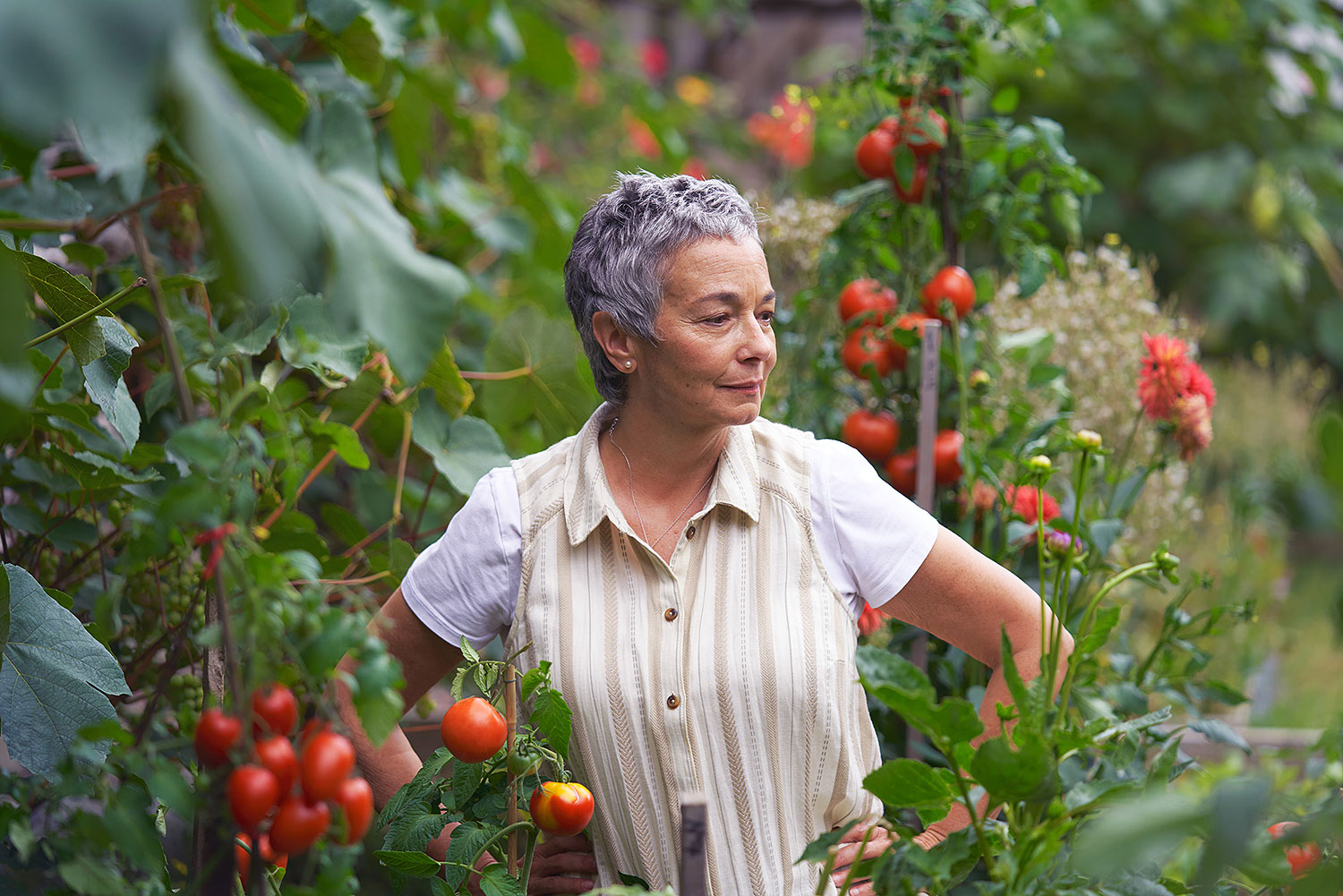 Piqray | d a n a N E I B E R T // j o u r n a l