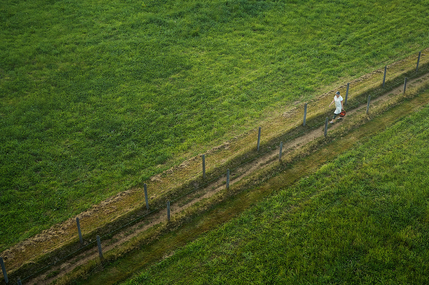 Piqray | d a n a N E I B E R T // j o u r n a l